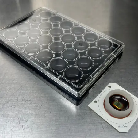 Expert MEA Testing with iPSC-Derived Neurons | VitroVo